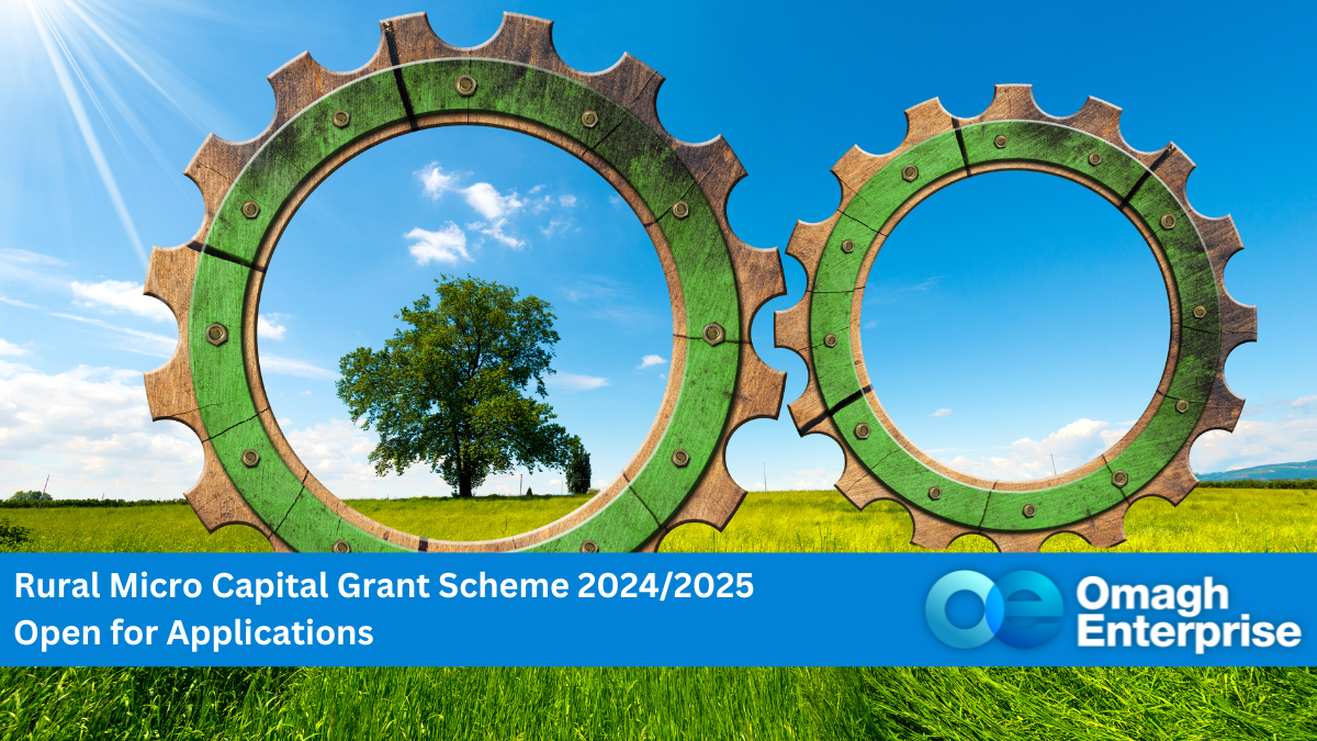 Rural Micro Capital Grant Scheme 2024/2025 Open for Applications ...