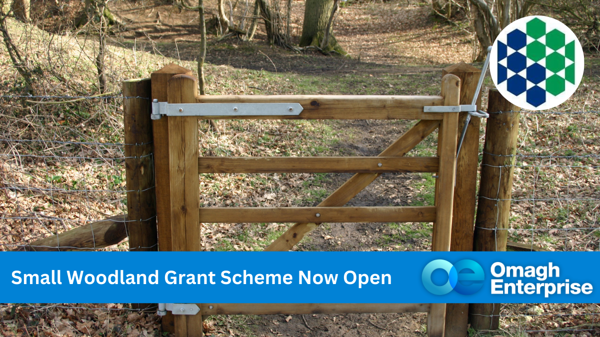 Small Woodland Grant Scheme Now Open | Omagh Enterprise